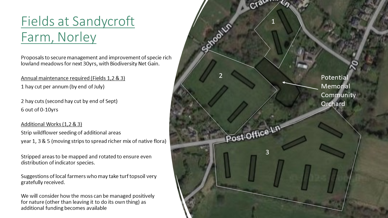 Sandycroft Farm Fields – Norley Wildlife Group